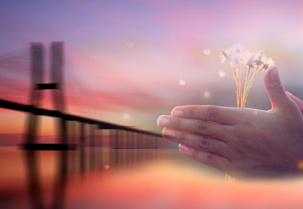 Struggling with a Child’s Behavior? - The Bridging Institute